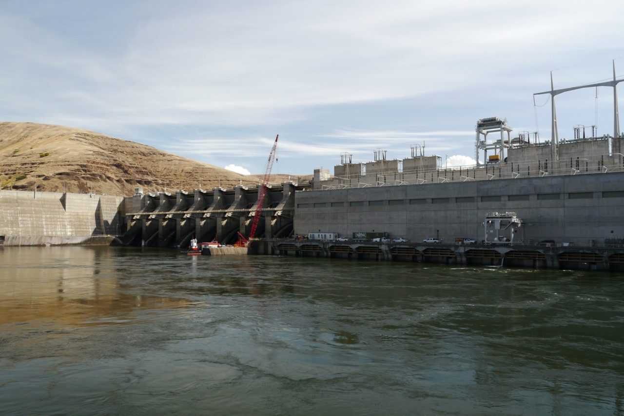The science is clear: Snake River dams kill too many fish - Hydropower ...