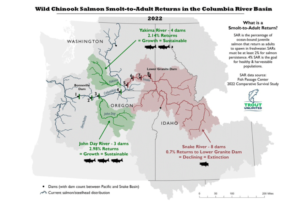 TU’s Wood Gives Testimony on Lower Snake River Dams - Hydropower Reform ...