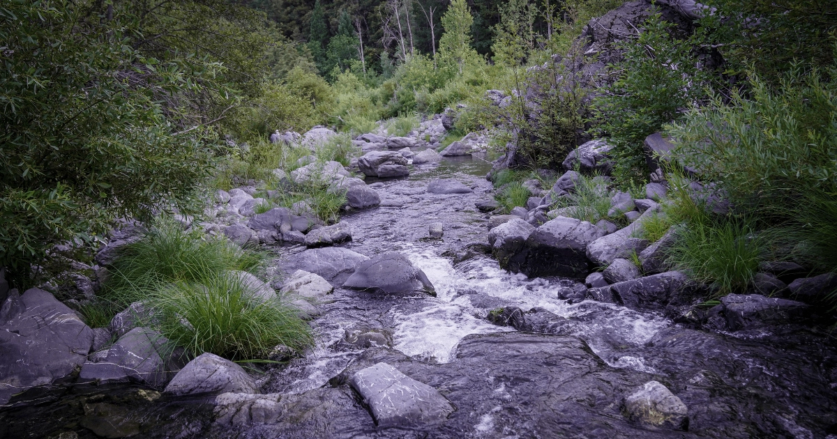 PG&E Makes it Official – Submits Plan to Remove Potter Valley Project ...